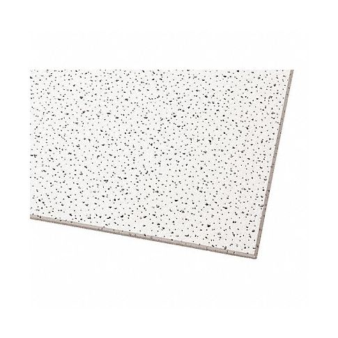 Ceiling Tile 12 in L 12 in W PK40 746