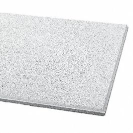 Ceiling Tile 24 in L 24 in W PK12 589BN